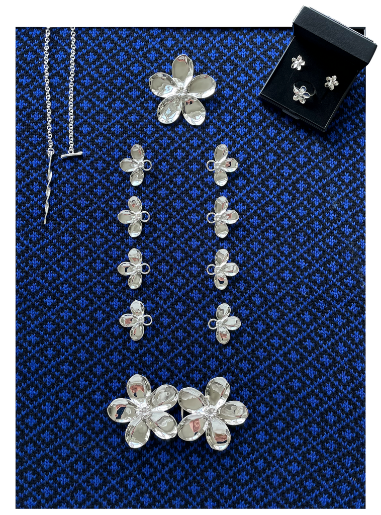 Gloym meg ei - Beltaspennið – Silvur.fo